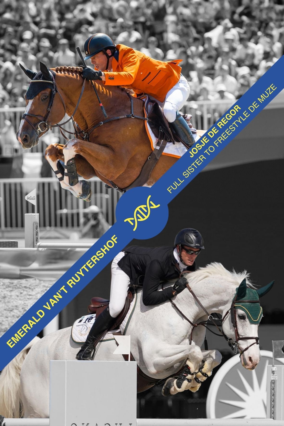 Female embryo Centa de Muze - Female Embryo: Damline CENTA DE MUZE combined with Olympic EMERALD ...